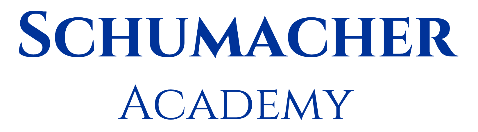 THE SCHUMACHER ACADEMY